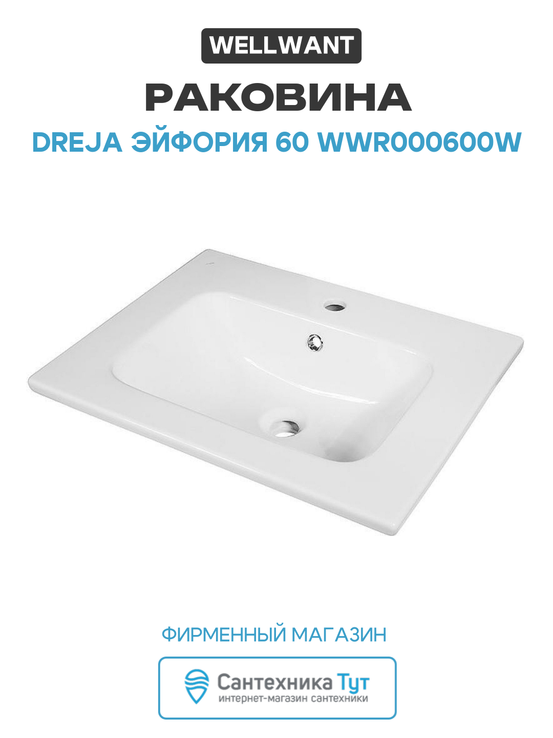 Раковина WellWant Dreja Эйфория 60 WWR000600W Белая