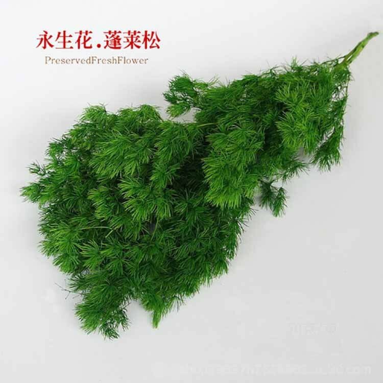 2026 Новейшие сухие цветы сосны Пэнглай, вечные цветы, ароматерапевтическая свеча, диффузор, камень, легкая роскошь, плавающие цветы, материалы для DIY в гостиной, свадебная цветочная композиция