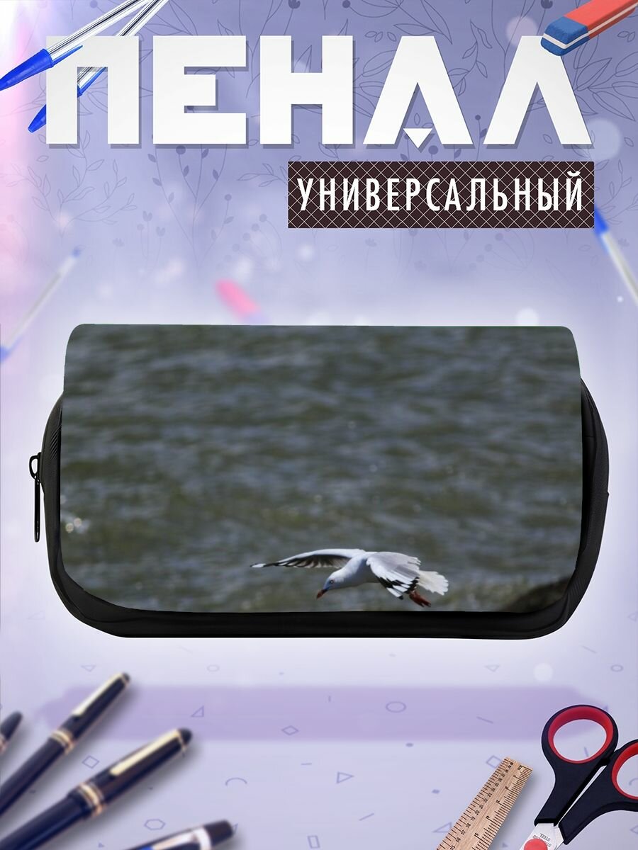 Школьный пенал чайки птица