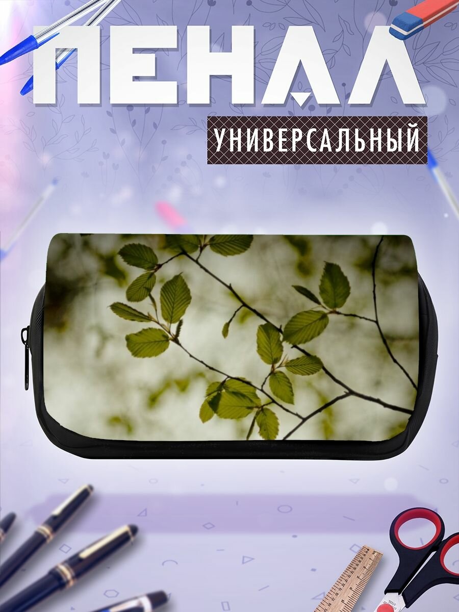 Школьный пенал прут лист