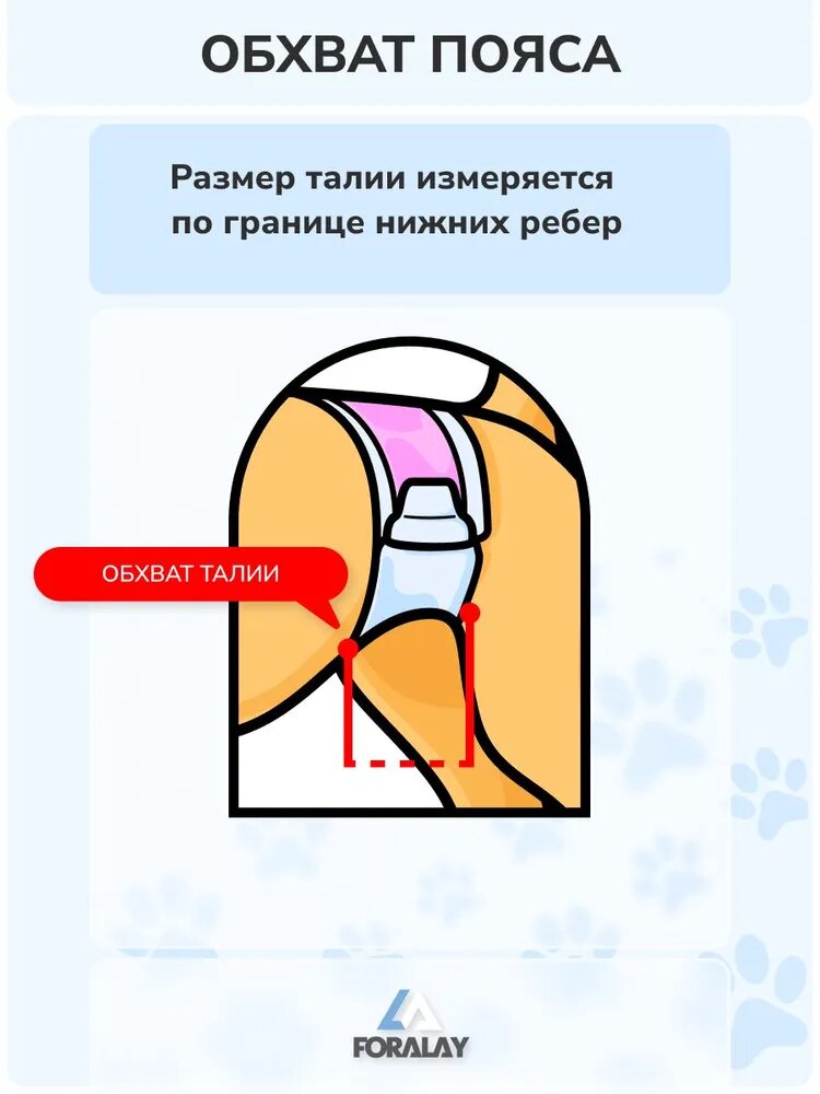 Подгузники для животных — фото 1