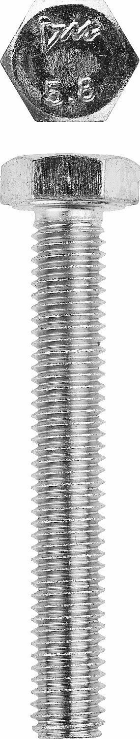 Болт ЗУБР M10x25мм, ГОСТ 7798-70, кл. пр.5.8, 5кг 303080-10-025