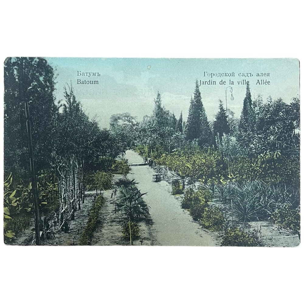 Почтовая открытка "Батум. Городской сад. Аллея" 1900-1917 гг. Российская Империя
