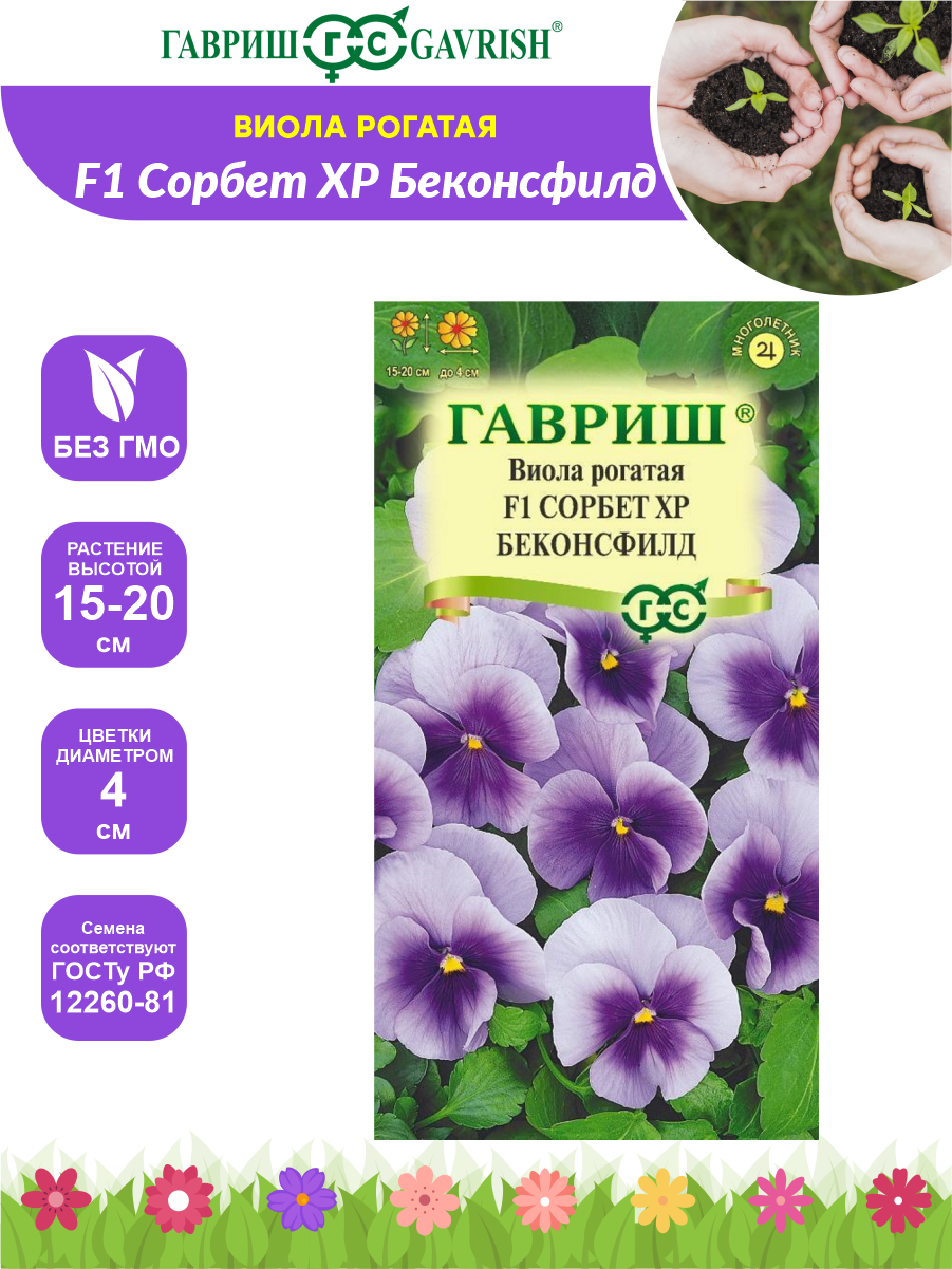 Семена Виола рогатая F1 Сорбет XP Беконсфилд Анютины глазки 4 шт.