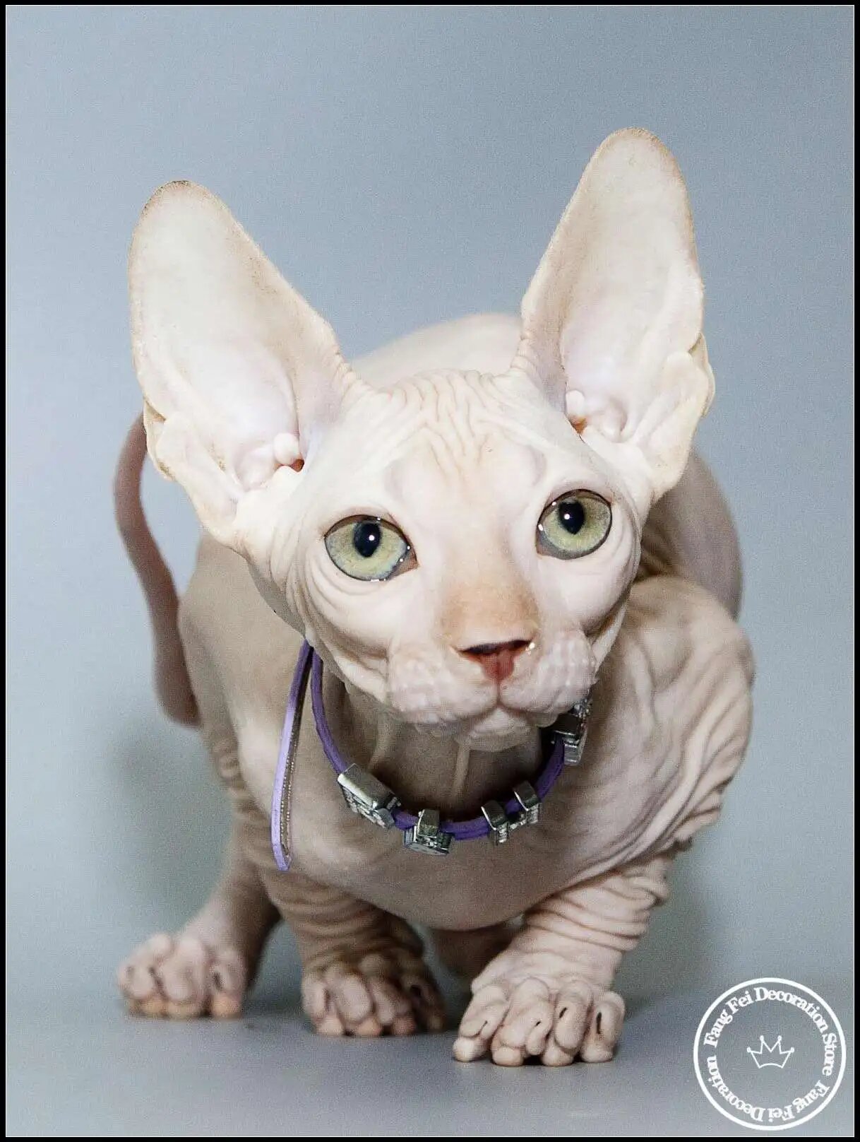 Алмазная мозаика на подрамнике "Кот породы сфинкс" круглые бриллианты 40х50см