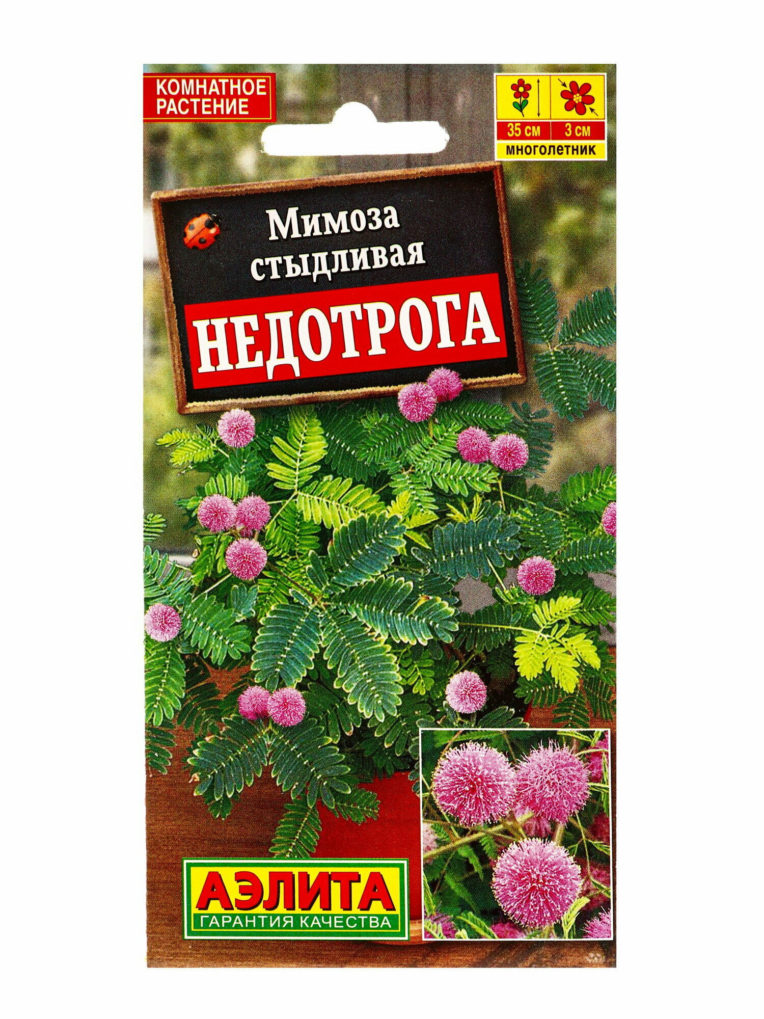 Семена цветов Мимоза Недотрога Мн, Ц/П,10 шт, цветение период: август