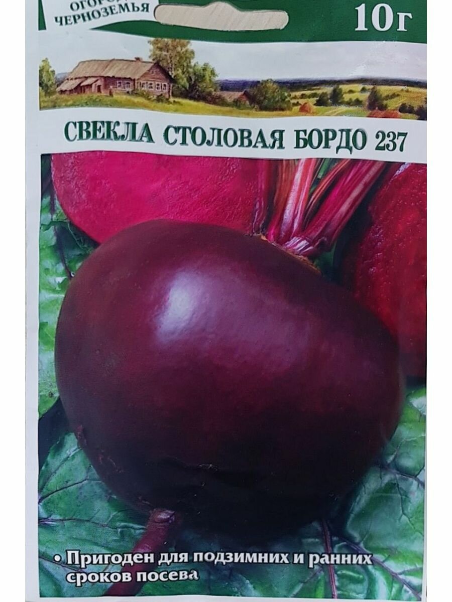 Свекла столовая бордо 237
