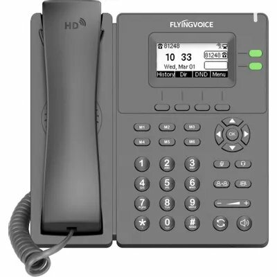 IP телефон P20G