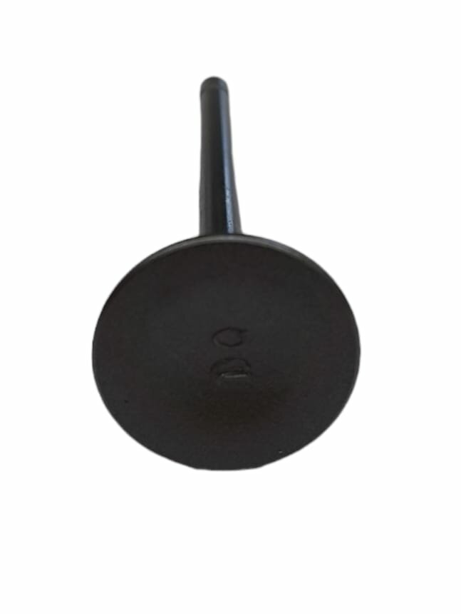 Клапан выпускной RACER RC200 163FML (D=27 L=89)