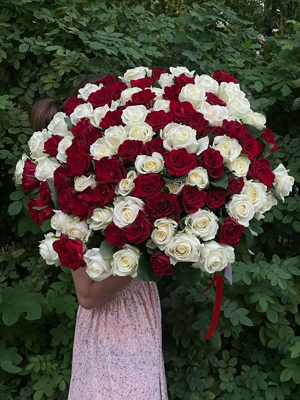Букет из 101 красной и белой Розы