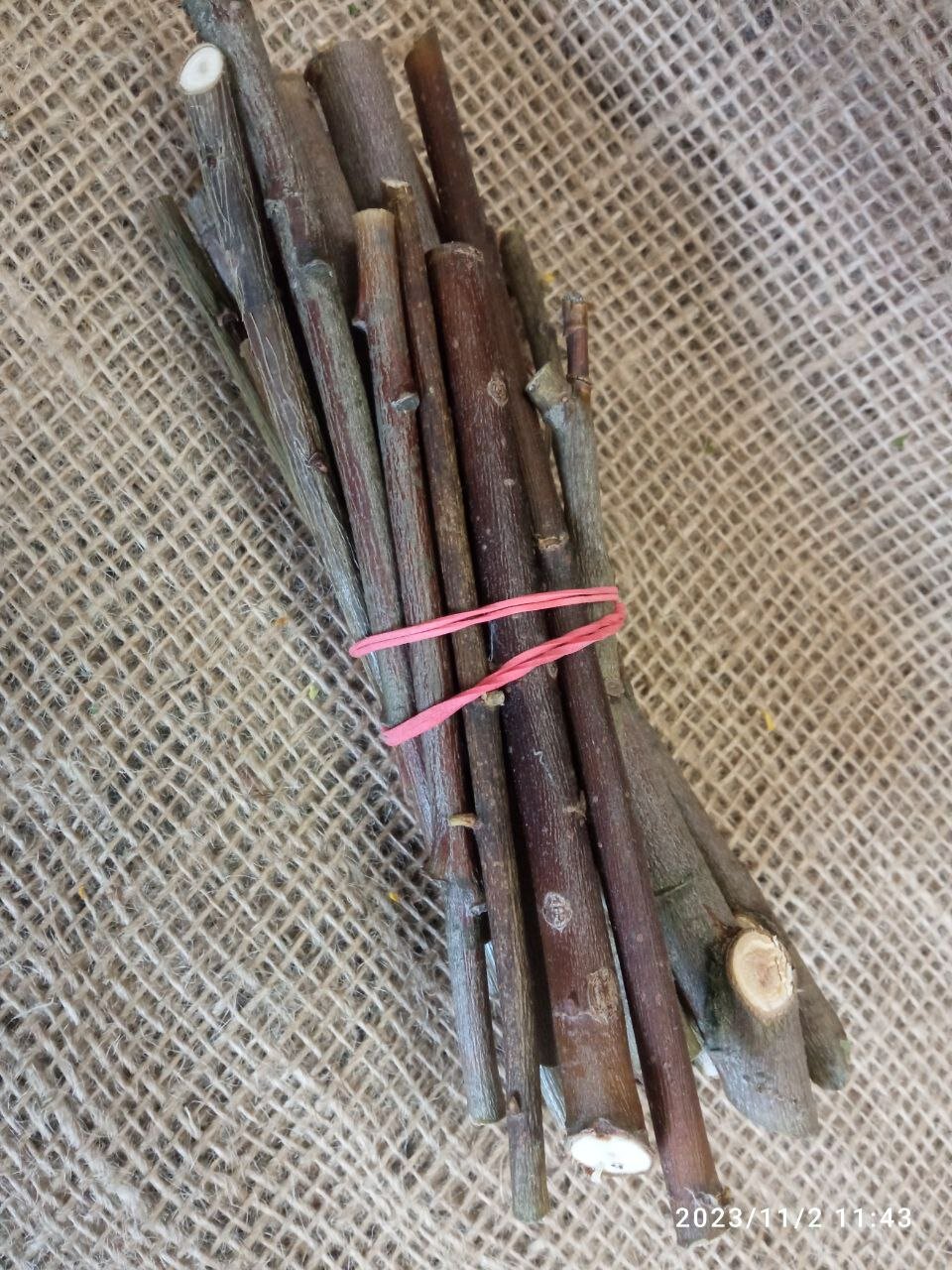 Лакомство для шиншилл, хомяков, морских свинок, дегу, крыс, песчанок, кроликов и птиц ChinZoo веточки ивы 100 гр.