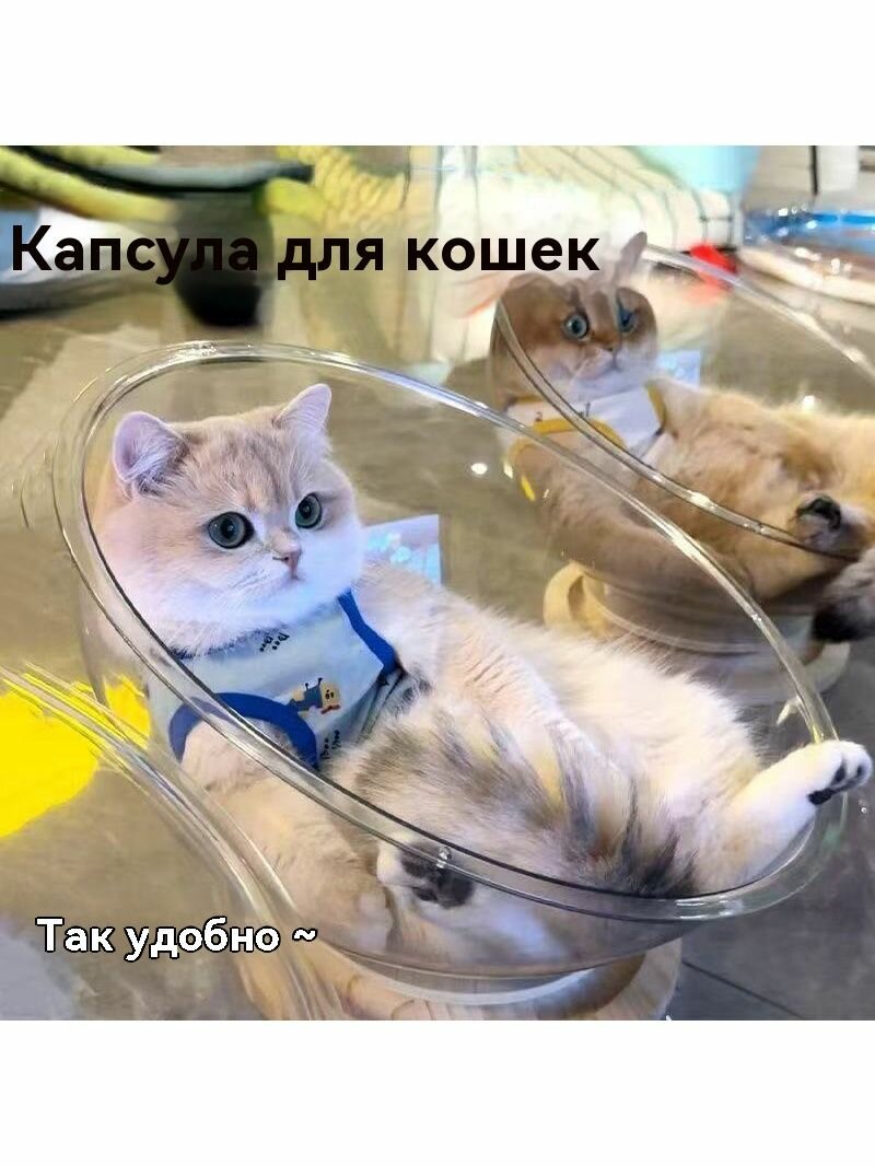 Кошачье гнездо, капсульное, с когтеточкой, универсальное, пластик — фото 1