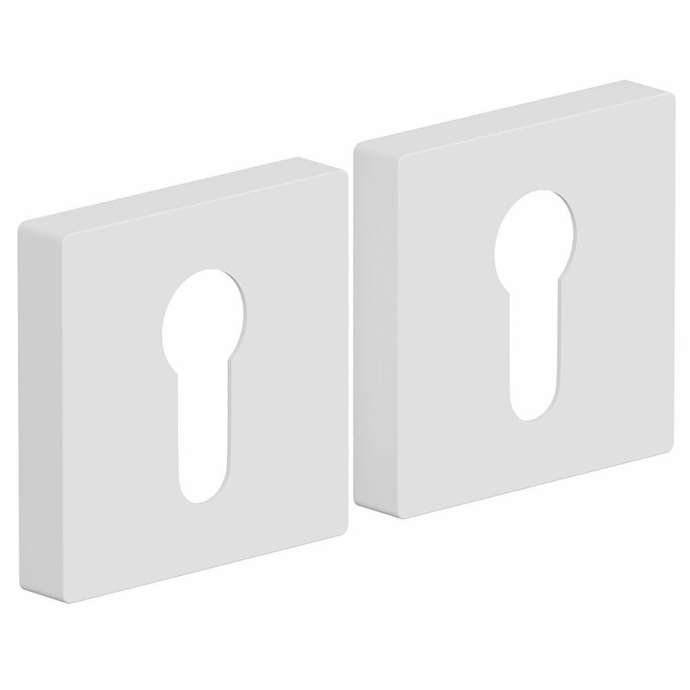 Дверная Накладка Bravo AS-6CL SWhite / Браво.