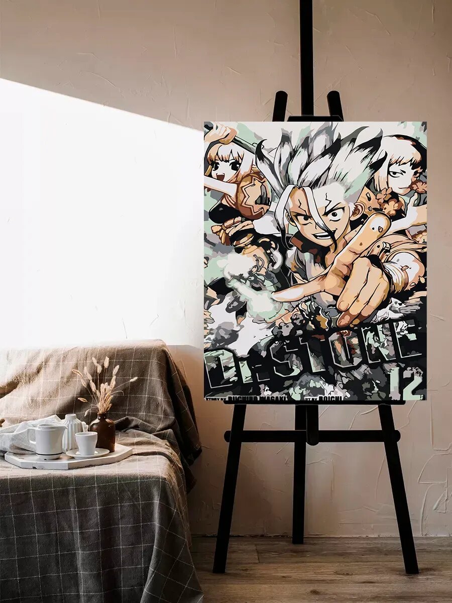 Картина по номерам Dr. Stone