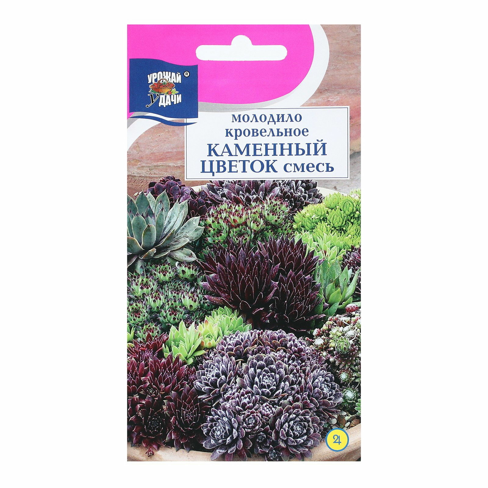 Семена цветов Молодило "каменный цветок", смесь, 0.005 г, цветение период: август