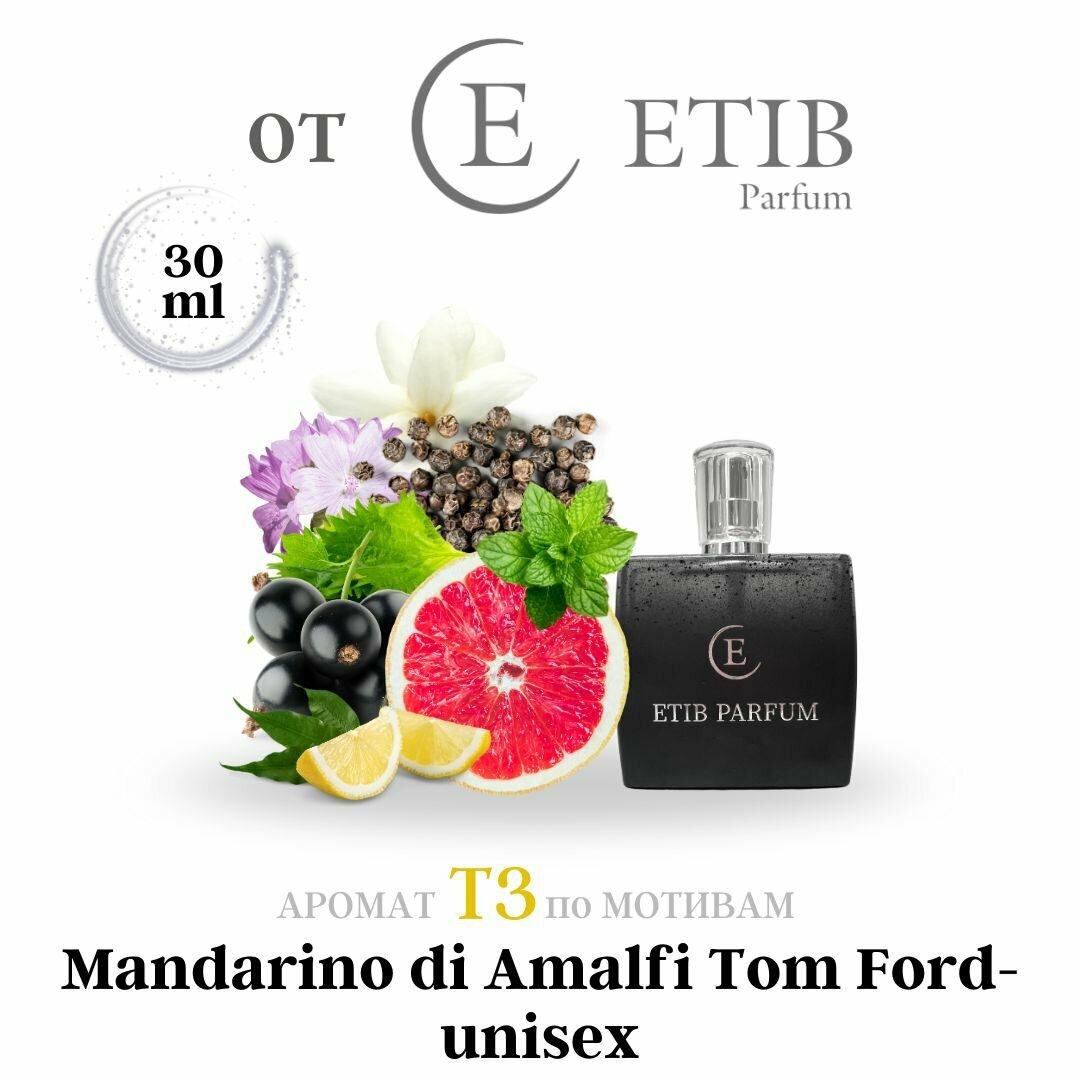 Духи ETIB Parfum T3 30мл
