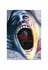 Pink Floyd - The Wall. 1 DVD