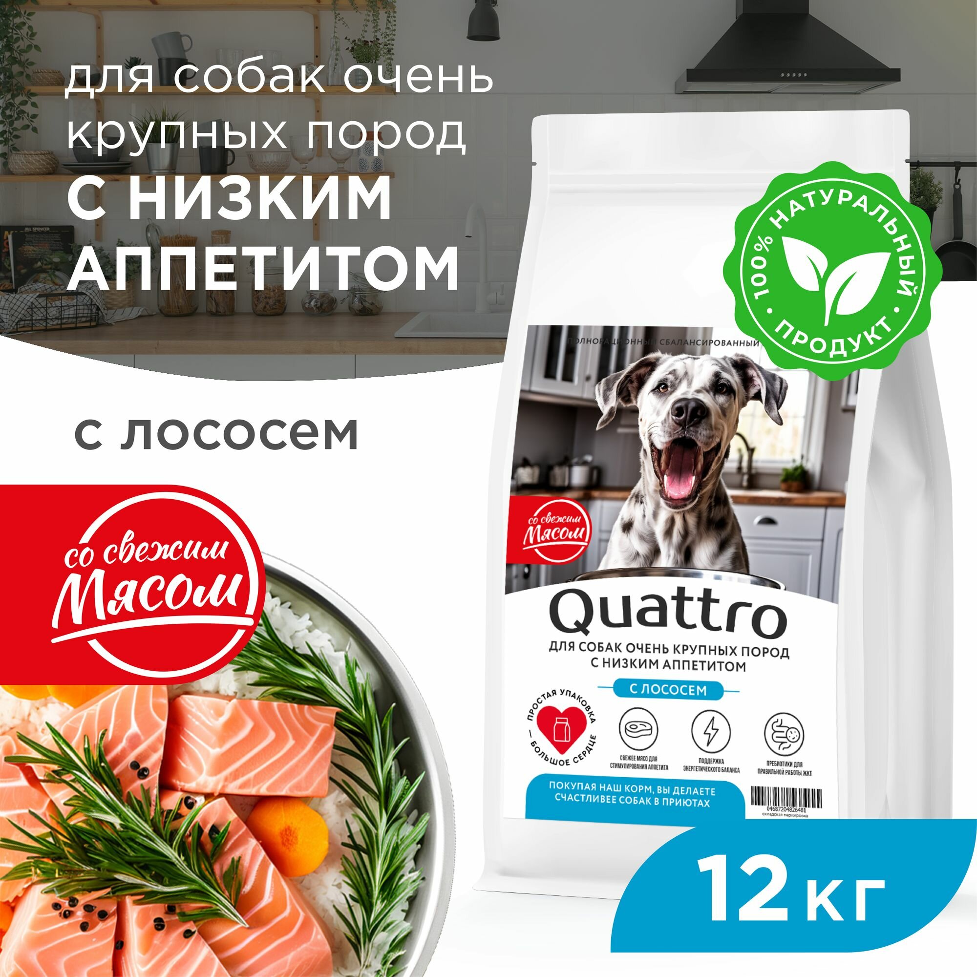 Корм сухой для взрослых собак очень крупных пород, премиум полнорационный комплекс, для собак с низким аппетитом, с лососем, 12 кг, QUATTRO