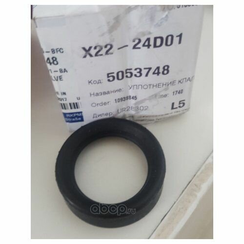 Уплотнение клапана муфты распределительного вала 2,0 EcoBoost. 2.5 DOHC Ford 5053748