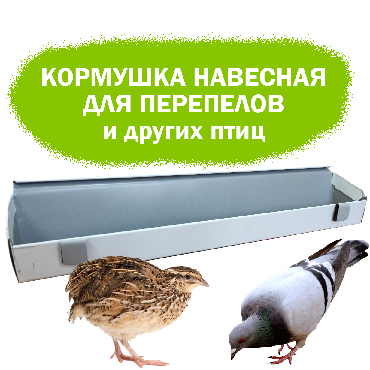 Навесная кормушка для перепелок и голубей, 47см
