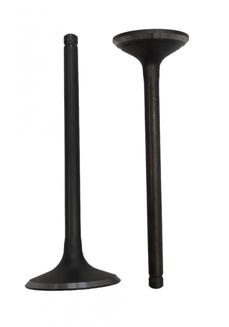 Клапаны (впуск/выпуск) 170FMN (CBB300) Racer RC300-GY8X Panther