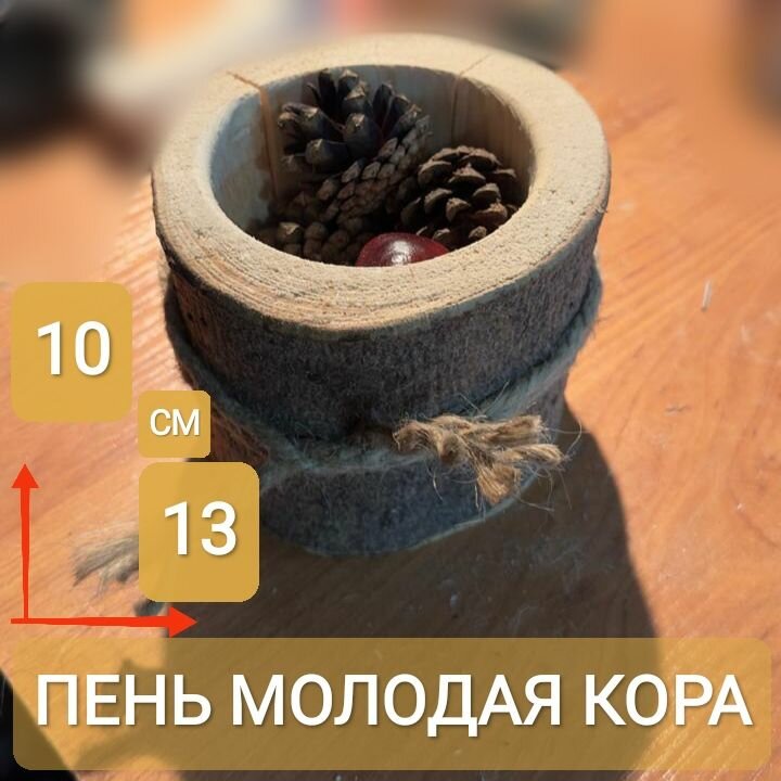 Кашпо ваза Пень D12-13см высота 10см полено Ель с молодой корой для декора интерьера. Спил (срез) бревна из лесу