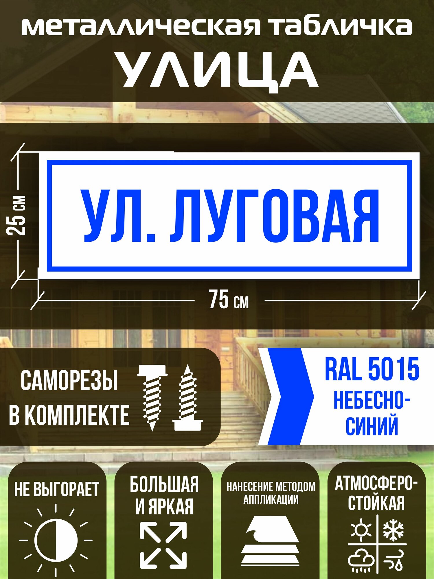 Адресная табличка на дом улица Луговая RAL 5015 синяя