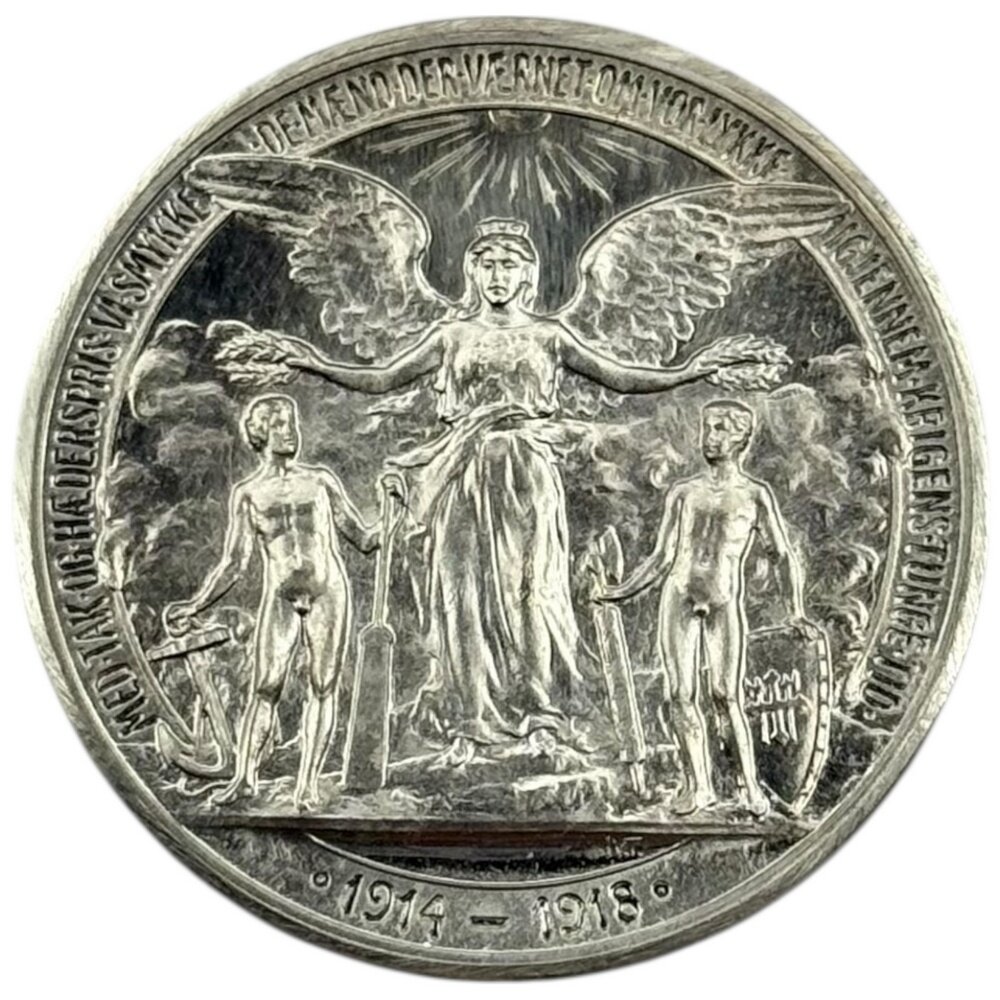 Норвегия, памятная медаль "День Конституции. Защитники отечества в Первой Мировой войне" 1920 г.