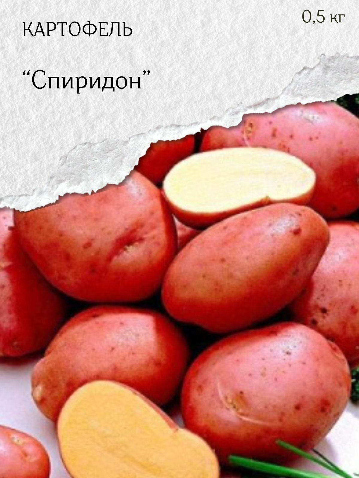 Картофель семенной красный Спиридон клубни на посадку 500 гр.