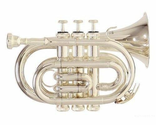 Roy Benson PT-101S Bb карманная труба