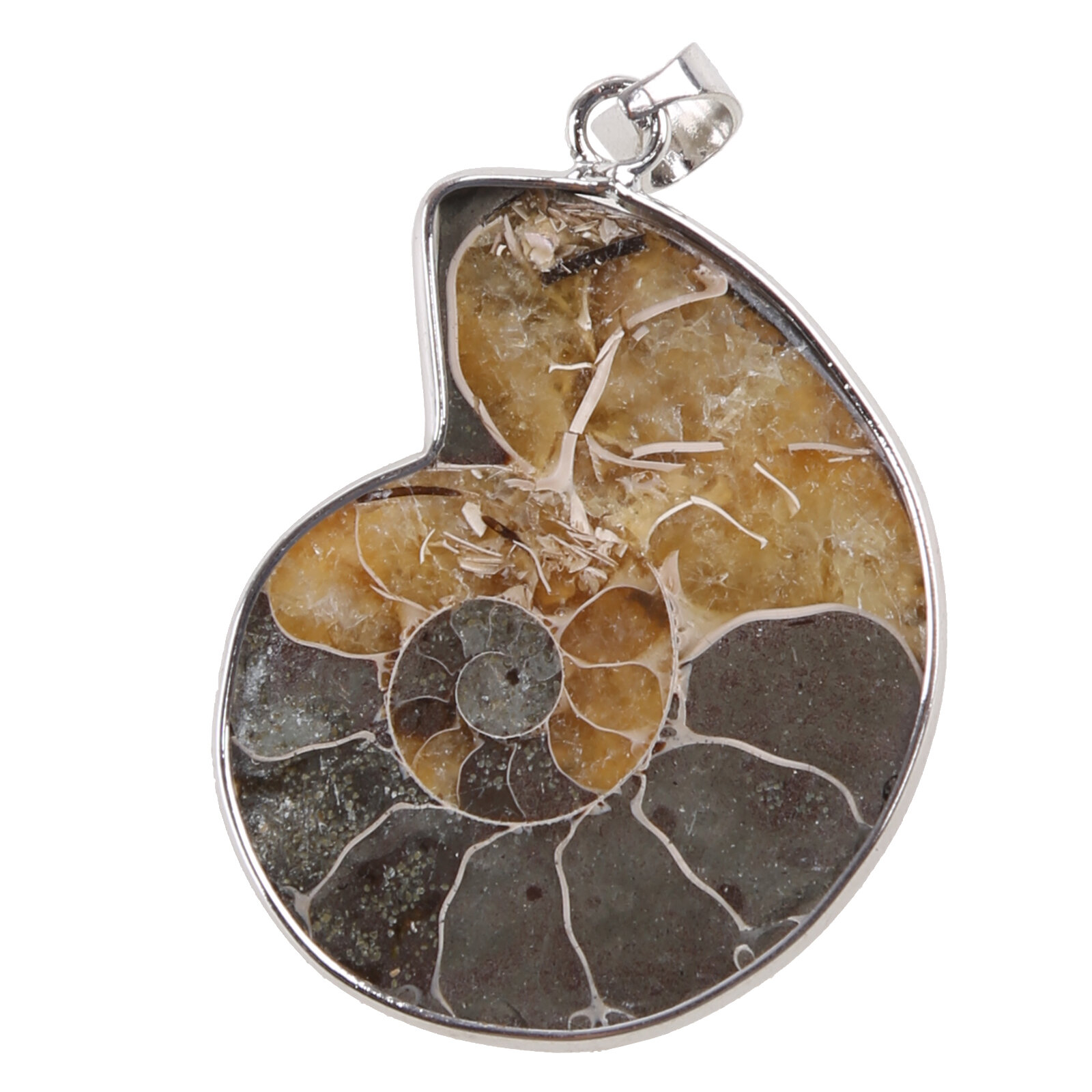 Окаменелости раковины, ракушка, улитка, кулон-сюрприз, подарок для членов семьи