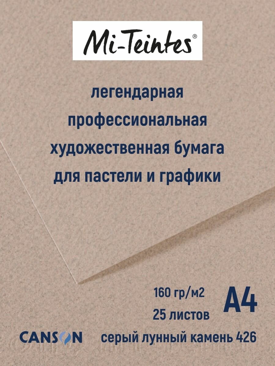 CANSON Mi-Teintes бумага для пастели 160 г/м2, 25 листов A4 21 х 29.7 см, №426 Серый лунный камень C31033S033