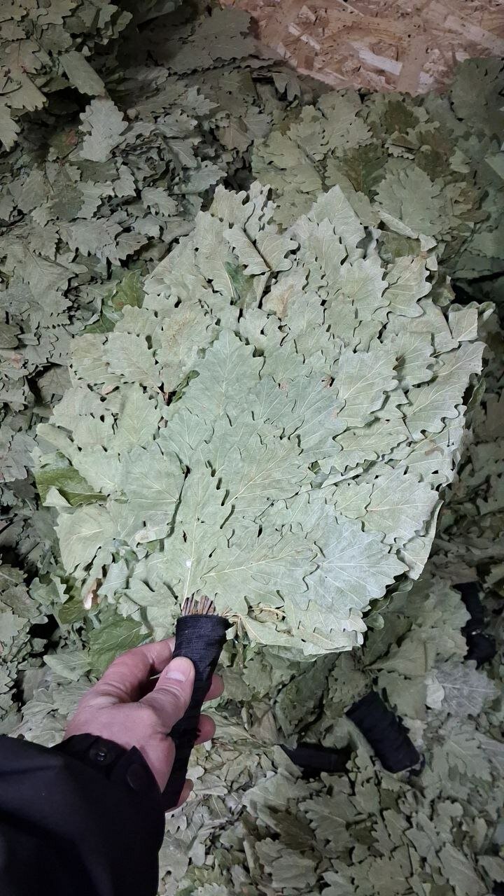 Банный веник "Краснодарский дуб", с запаркой, аромат леса, 2 шт.