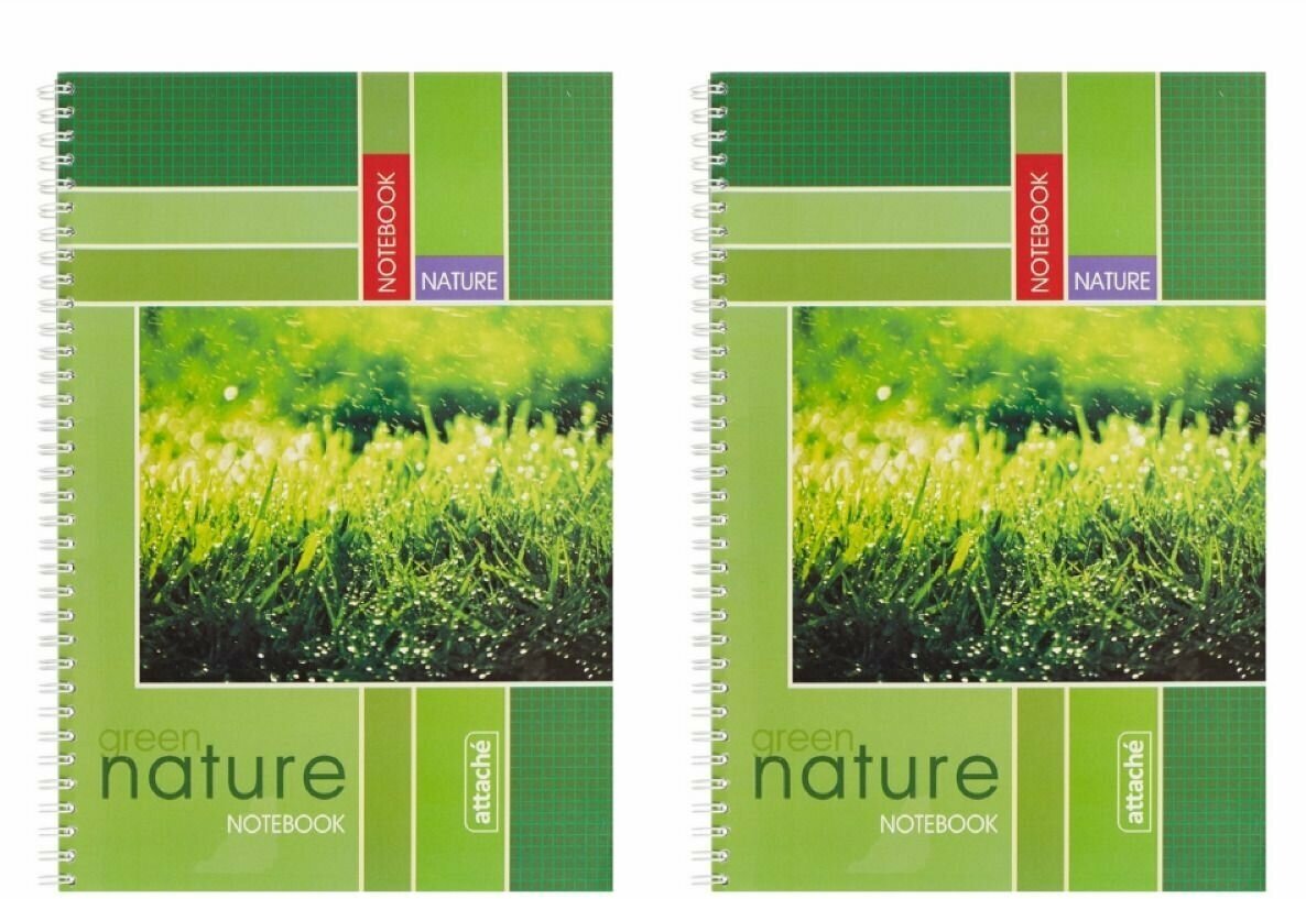 Attache Тетрадь общая 120 листов, клетка, А4, 2 шт