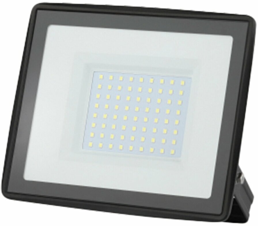 Прожектор светодиодный ЭРА, 100 (830) Вт, 6500 К, 8000 Лм, IP65, черный, LPR-023-0-65K-100, Б0052026, 238229