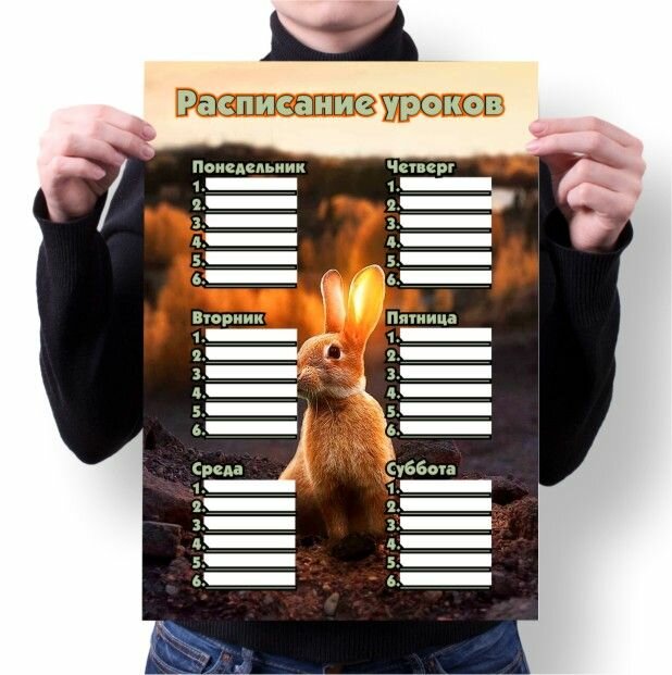 Расписание уроков год Кролика №14, А1