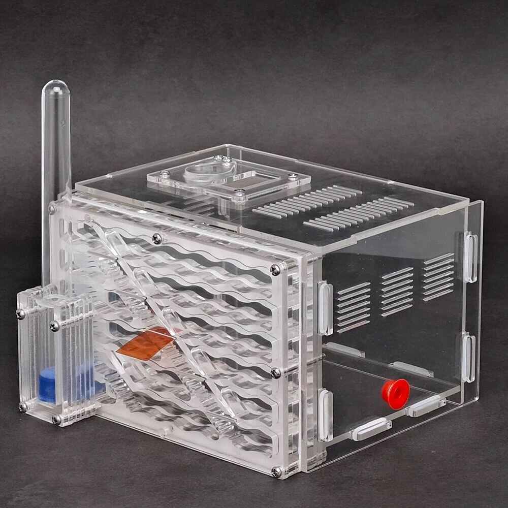 Муравьиная ферма Прозрачный акриловый муравьиный домик