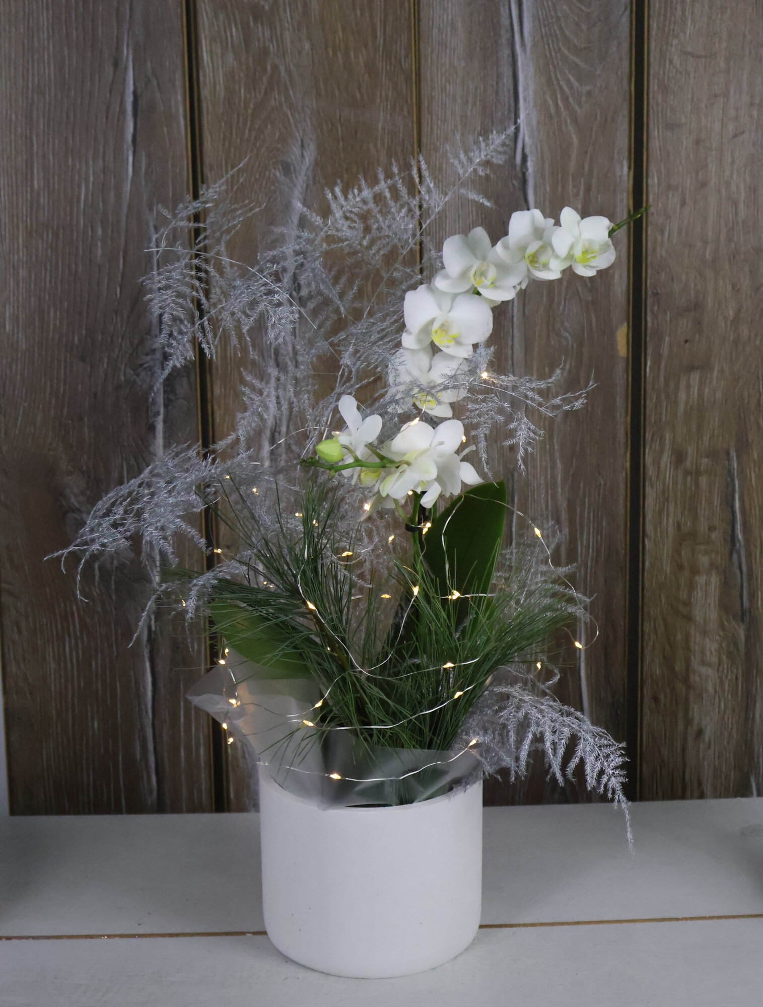 Белая мини орхидея "Новогодняя сказка"