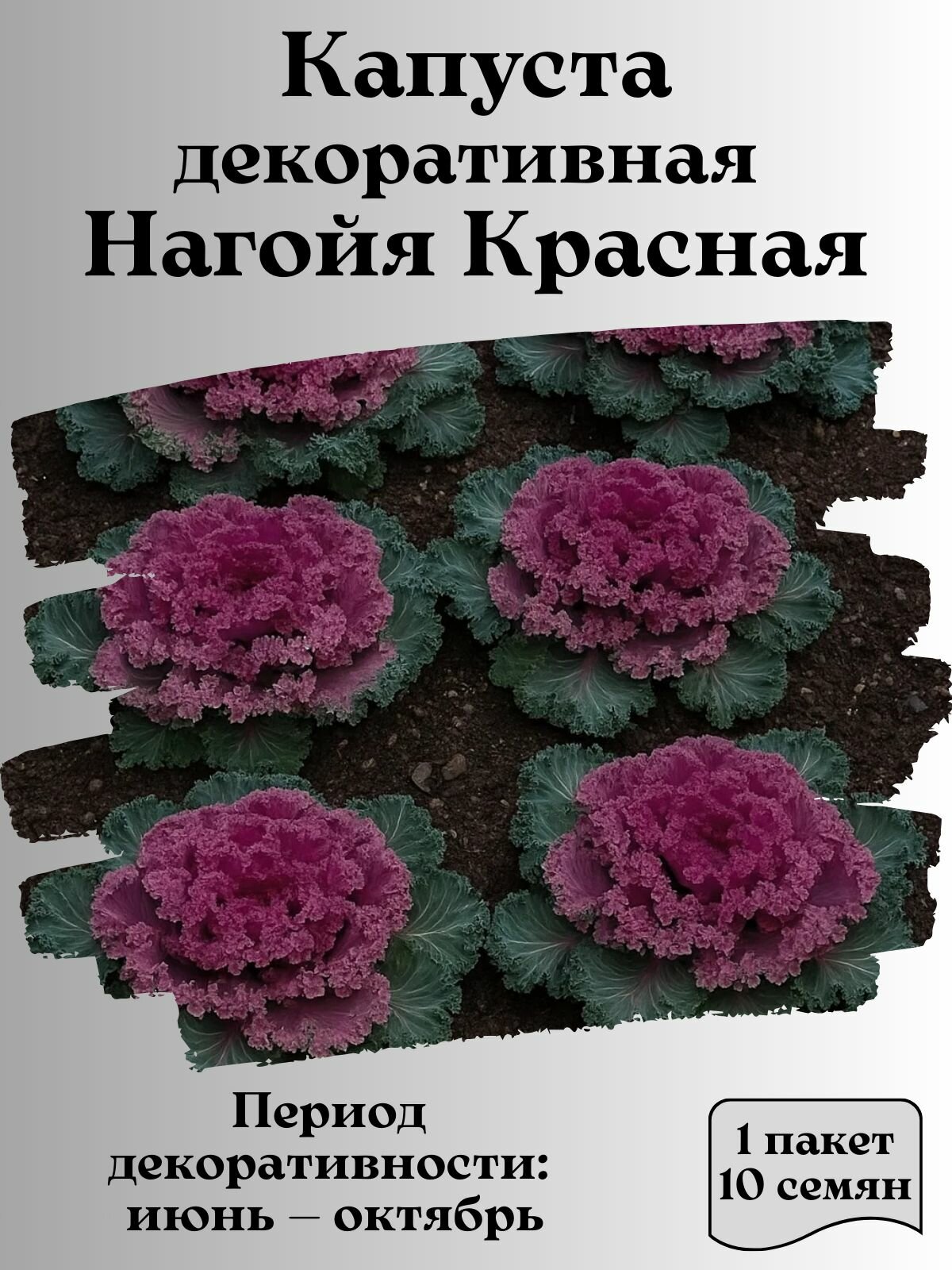 Капуста декоративная Нагойя Красная, семена, 10 шт, 15 гр.