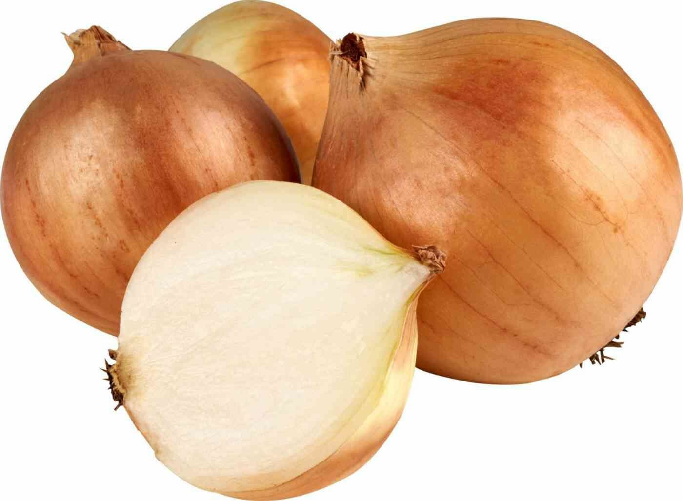 Коллекционные семена лука репчатый Лукоморье