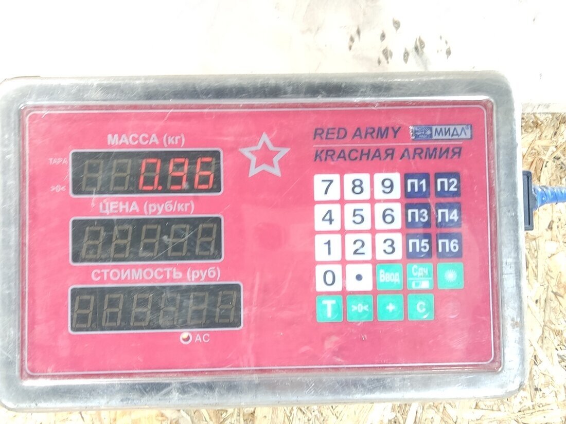 Петля двери задней правой нижняя GAZ Volga 2011 246206026