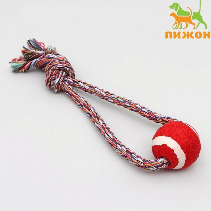 Игрушка канатная "Вираж" с мячом, до 135 г, до 37 см, микс цветов, 5541889
