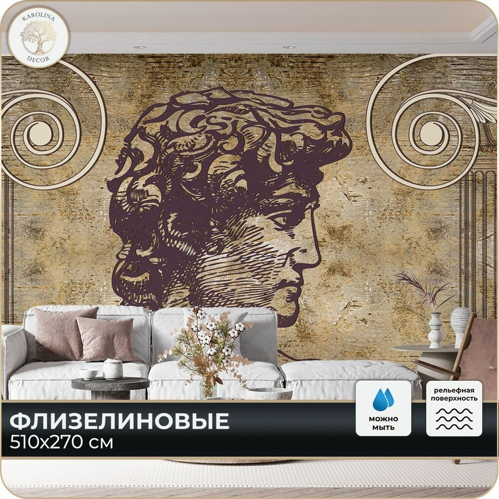 Фотообои 3D Античность Давид Дизайнерские в спальню в гостиную на кухню 500х270