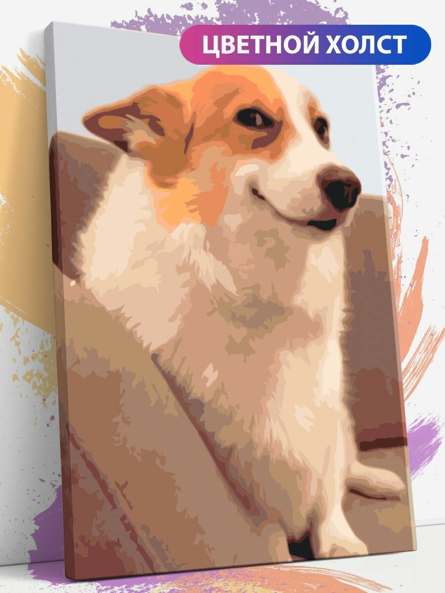 Картина по номерам на холсте с подрамником "Корги. Собаки", 30х40 см