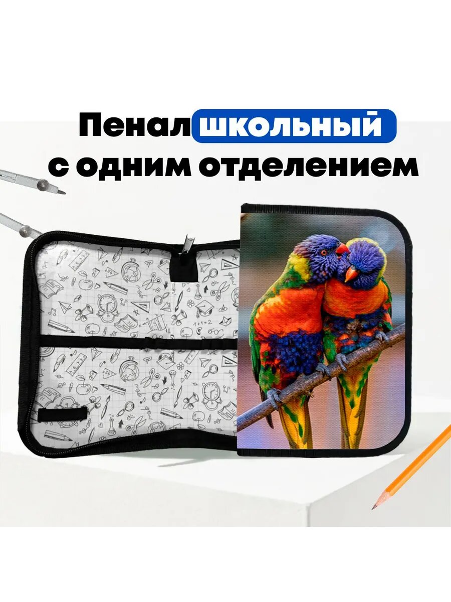 Школьный пенал Попугай
