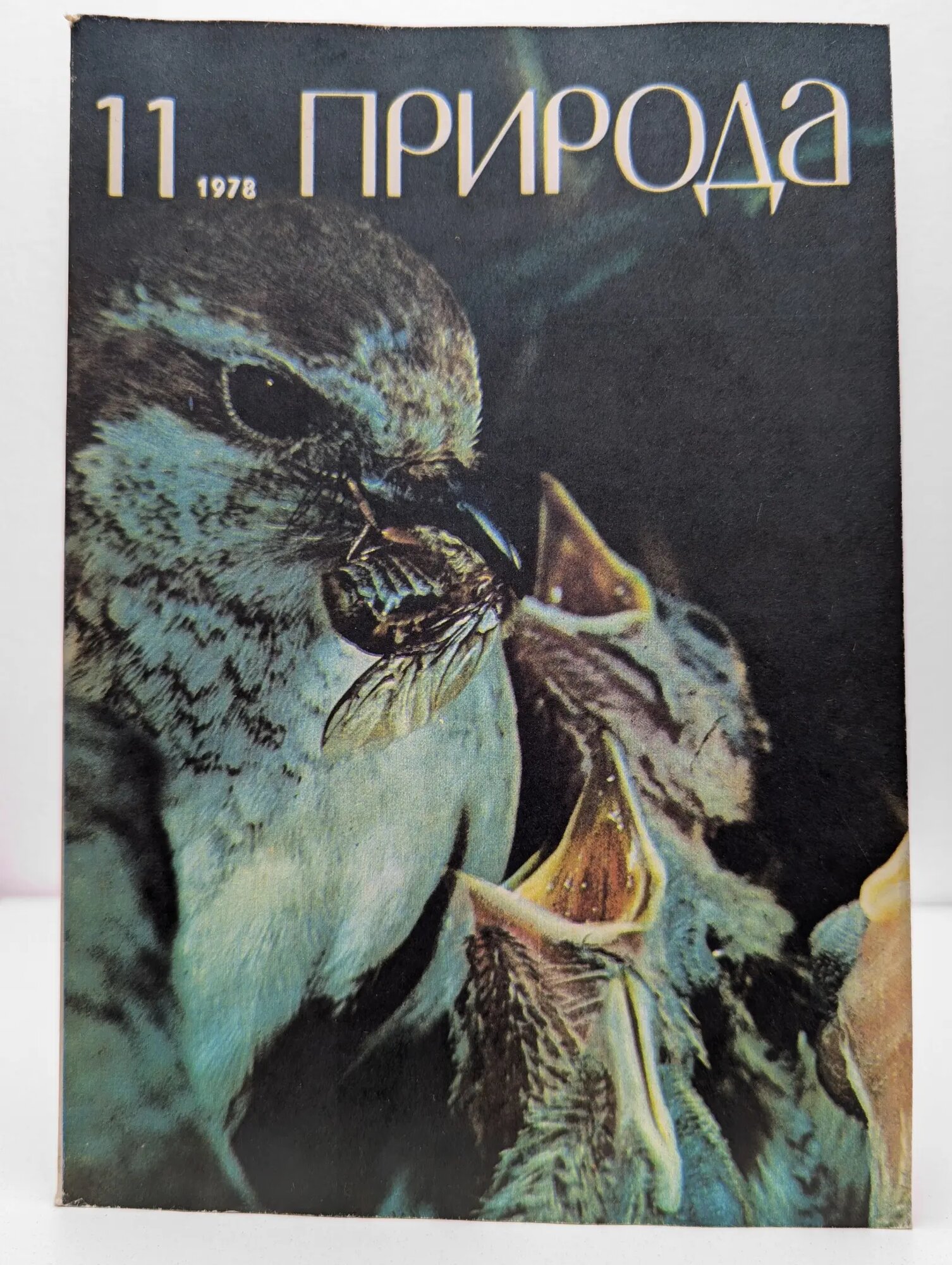 Природа. Выпуск № 11/1978 Басов Николай Геннадиевич (ред.) 1978