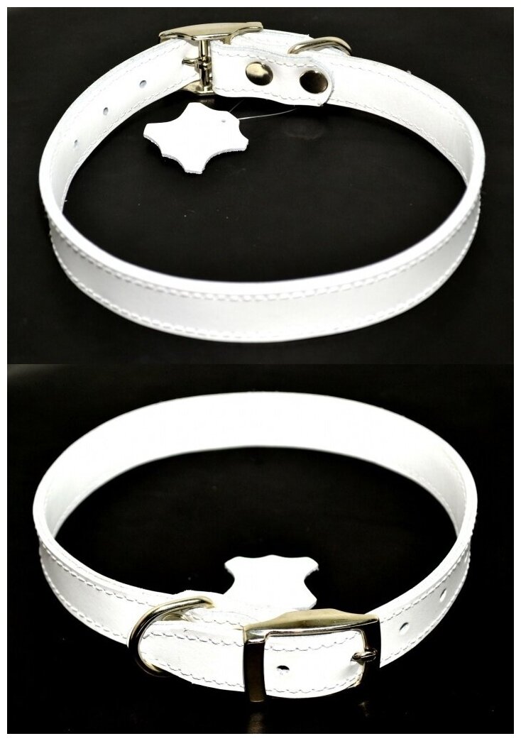 Ошейник для собак средних пород кожаный белый CHOKERZ. Ширина - 25 мм. Длина - 55 см