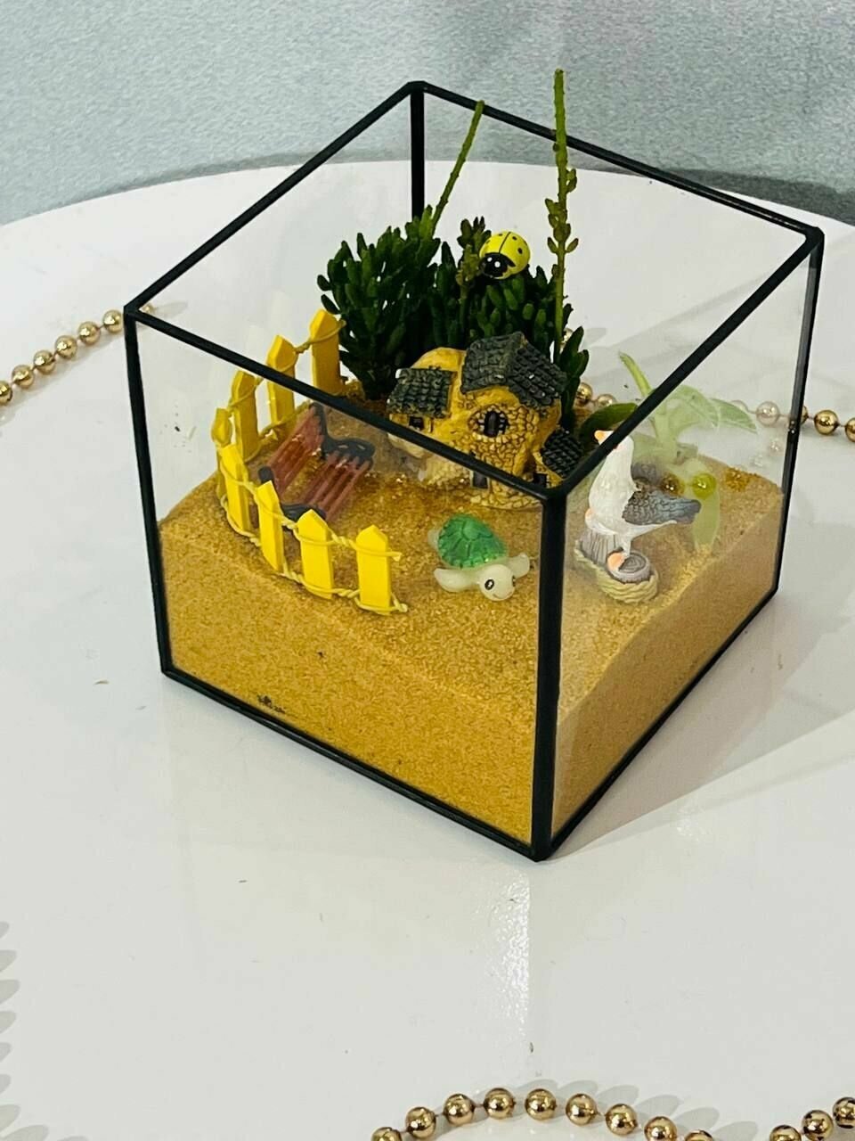 Флорариум детский куб / Суккулент / Ваза стекло