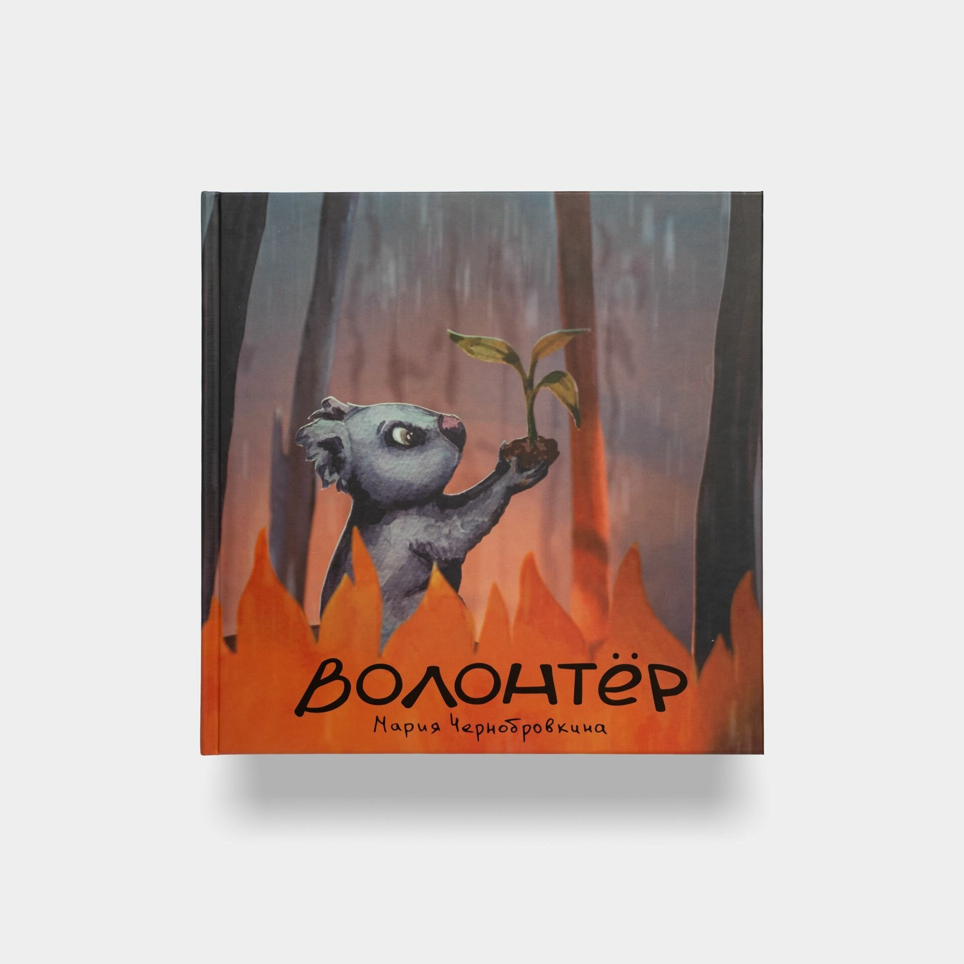 Волонтёр Добрая детская книга о дружбе, взаимопомощи и бережном отношении к природе. Подарочный экземпляр с автографом автора.