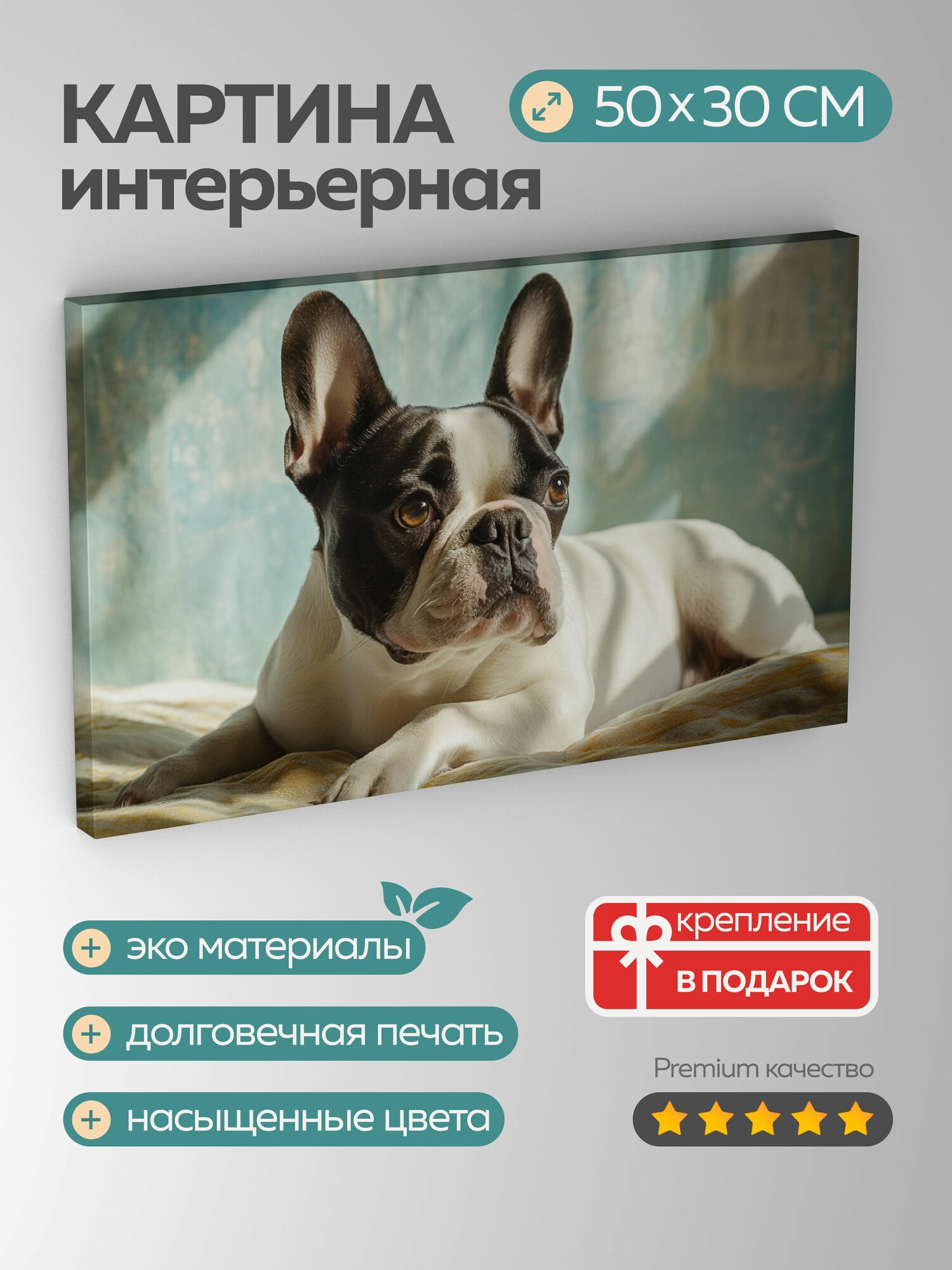 Картина на холсте интерьерная 50х30 см, портрет, французский бульдог, грация, величественная поза, мимика
